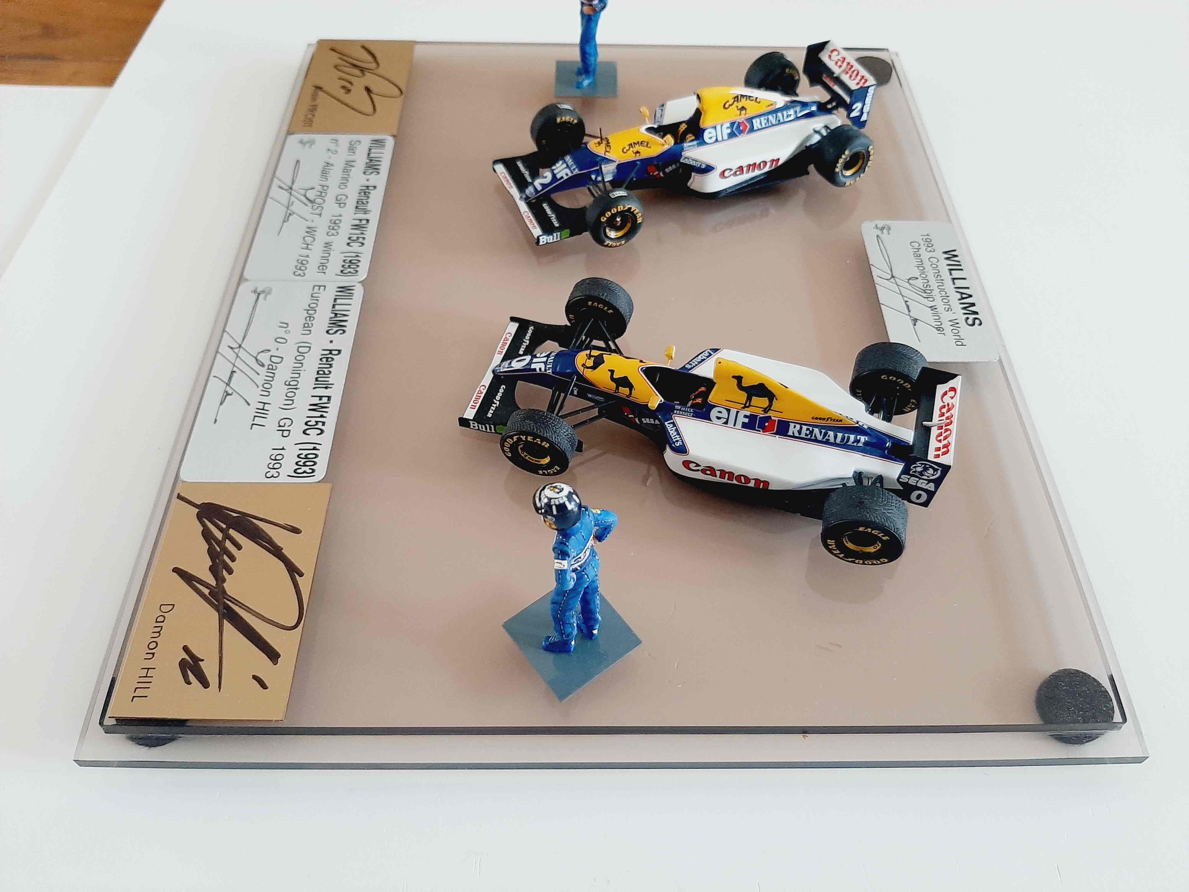 F. Suber : Williams FW15C championship winner set, Modelart111